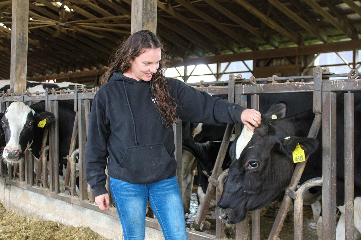 Cow Care Quiz Game - Maine Dairy Promotion Board